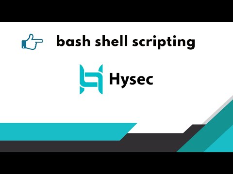 Bash Scripting in Kali Linux