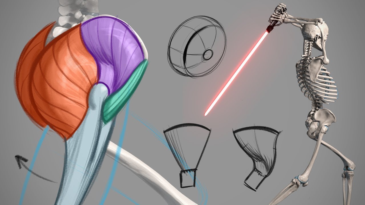 Inventing the Butt Muscles - Ass-ignment Demonstration