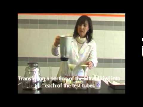 Kiwi DNA extraction