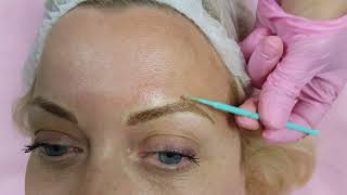 Blonde Eyebrows Structured Realism Microblading by El Truchan @ Perfect ...