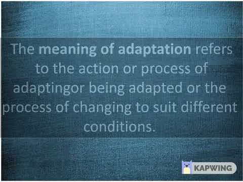 What Is Meaning Of Adaptation
