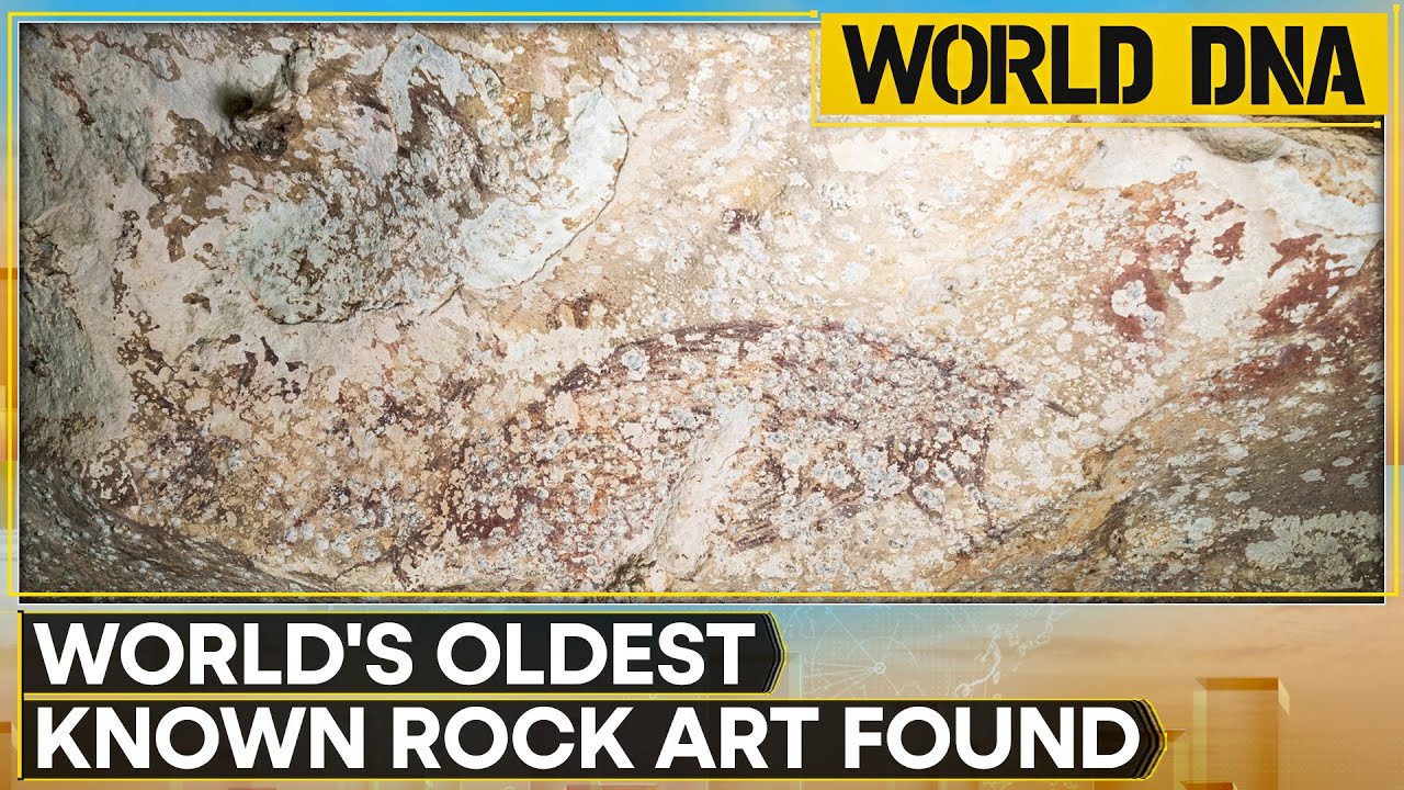 World's Oldest Rock Art Found: 67,800-Year-Old Hand in Indonesian Cave | WION World DNA