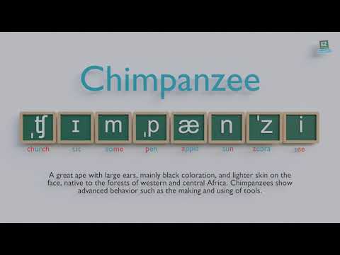 How to pronounce Chimpanzee ?