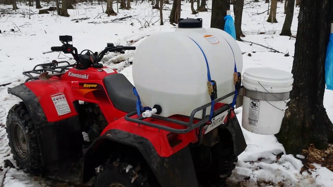 First maple sap collected for 2017.