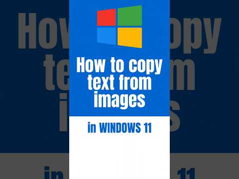 How to copy text in Windows 11
