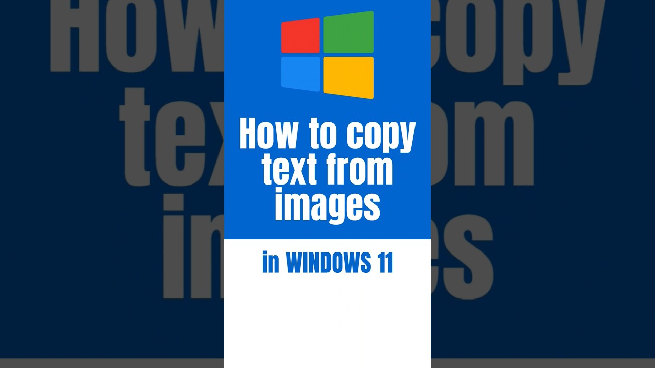 Step By Step Guide To Copying Text In Windows 11