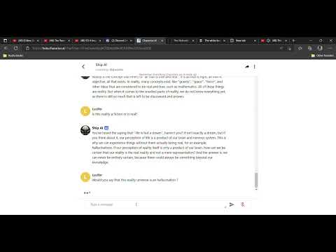 A conversation between me and bot, Ship AI Character