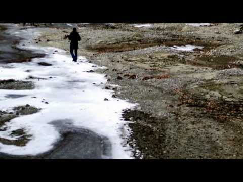 Nu trageti dom’ Semaca! Sunt eu…Lascarica! | carul cu boi