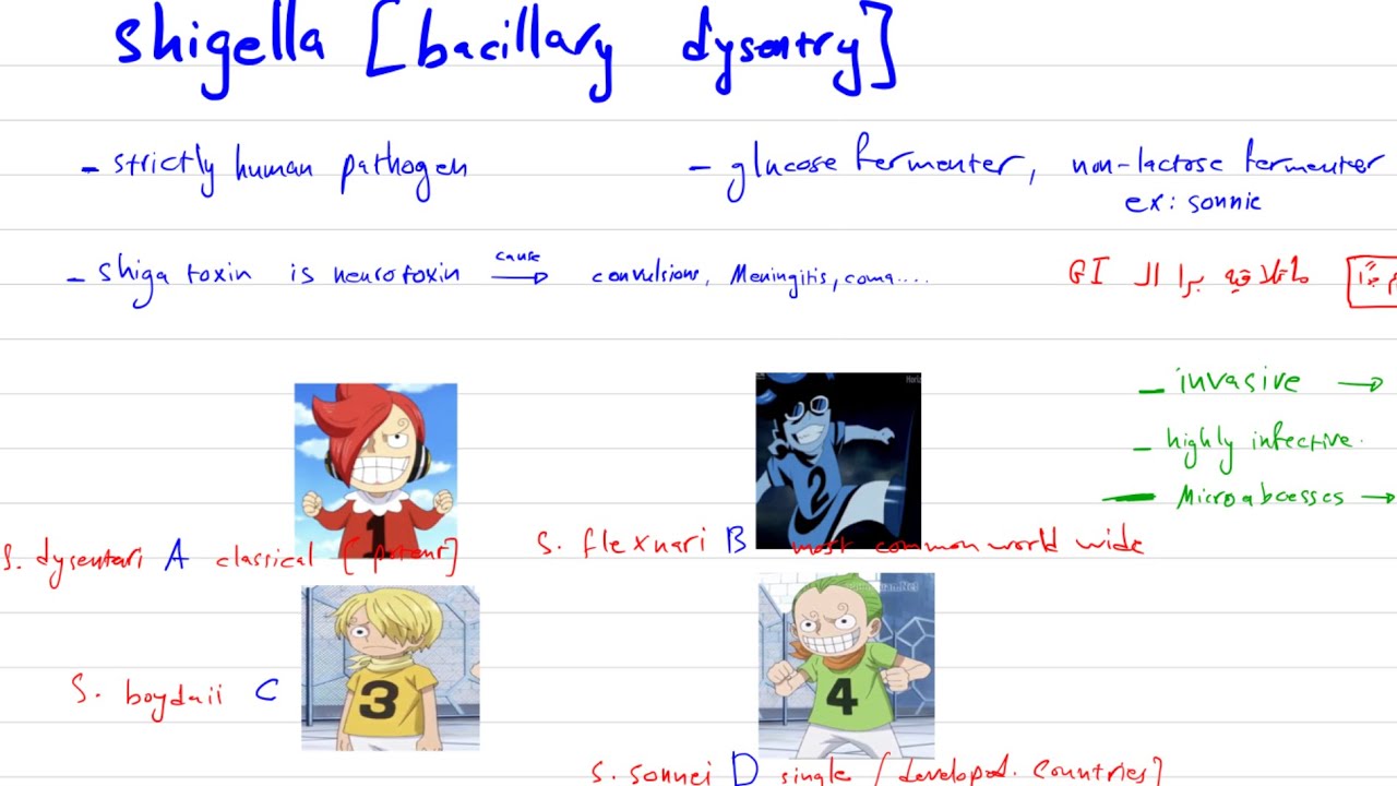Second year micro pdf 2