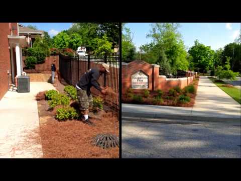 Mikeβs Do It All Services LLC