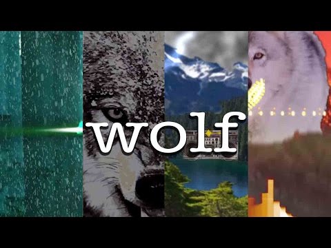 mrblends - Contact Project Wolf (FULL ALBUM VISUAL)