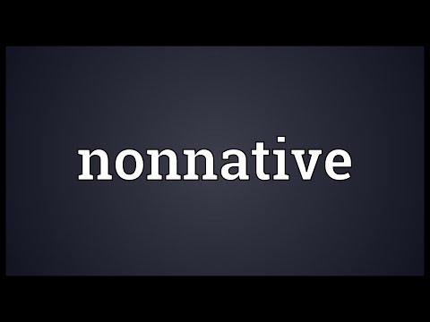 Nonnative Meaning