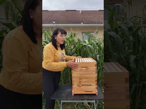 How to assemble a BeeCastle Langstroth Beehive #bees #beehive #beekeeping #honeybees