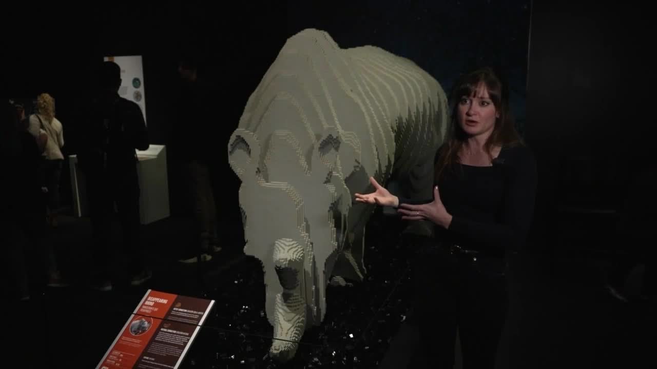 Brick Planet: 1.5 million Lego bricks bring wildlife to Denver museum
