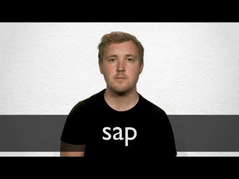 SAP definition and meaning | Collins English Dictionary