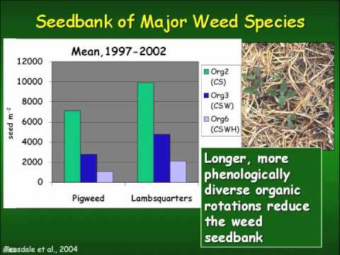 The USDA-ARS Beltsville Farming Systems Project 1996 to 2010