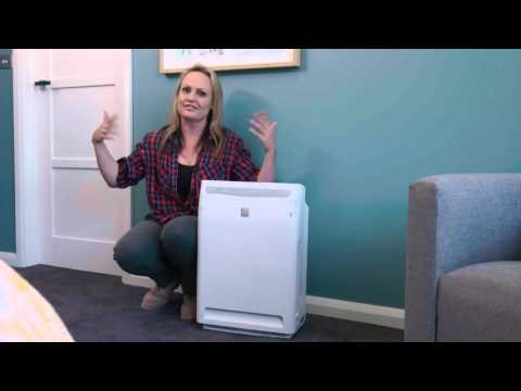 Portable Air Purifier | The Home Team 2 Ep. 39