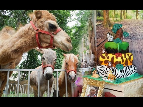 Carter's safari adventures! Mobile petting zoo birthday party 