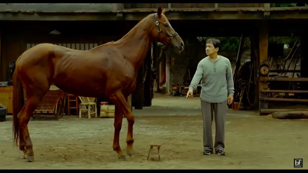 Dobles de acción (Ride On) | Tráiler Oficial audio latino | BF Distribution | Jackie Chan