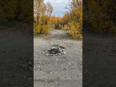 Video of Riverside Park (Anderson City Park), AK from Tanya R.