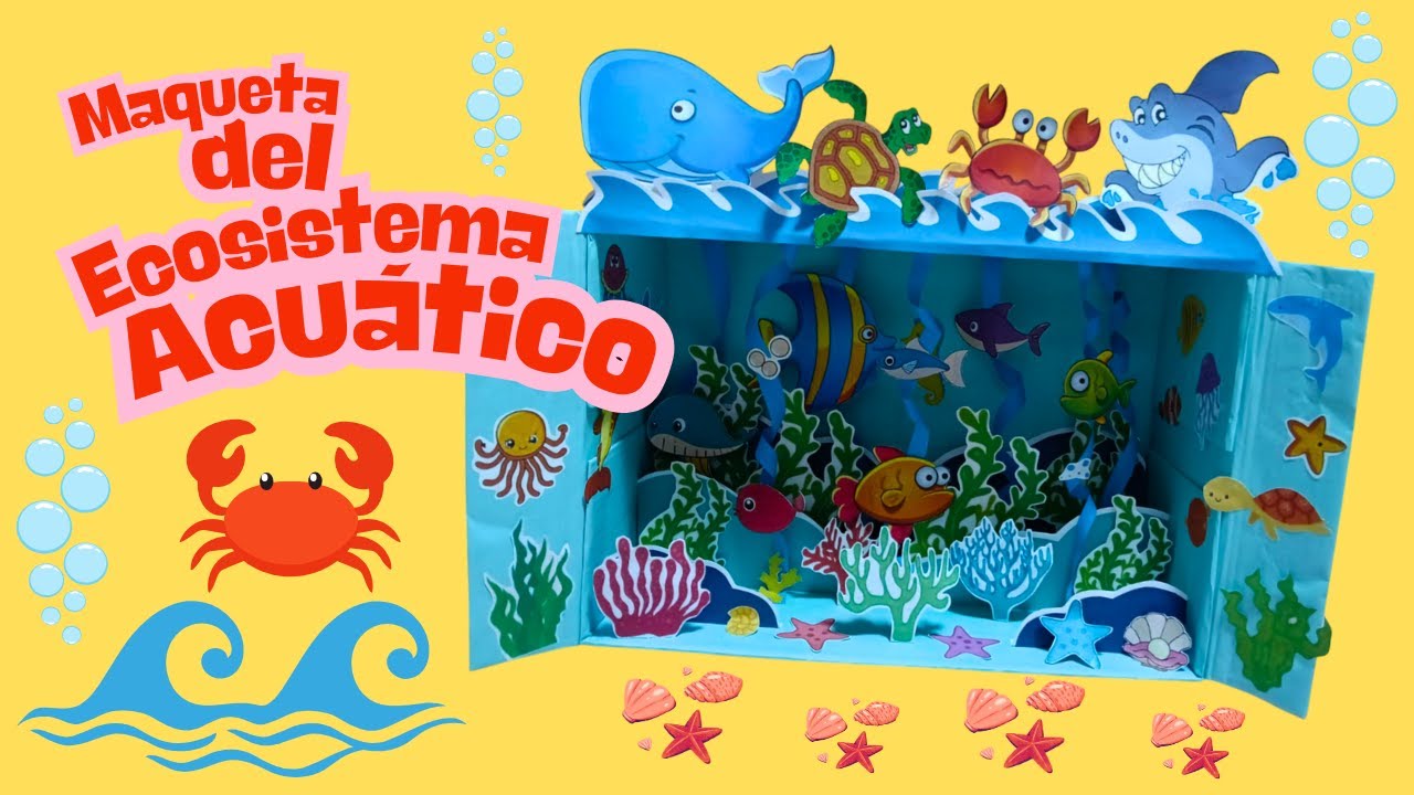 How to make a model of the Aquatic Ecosystem...!!