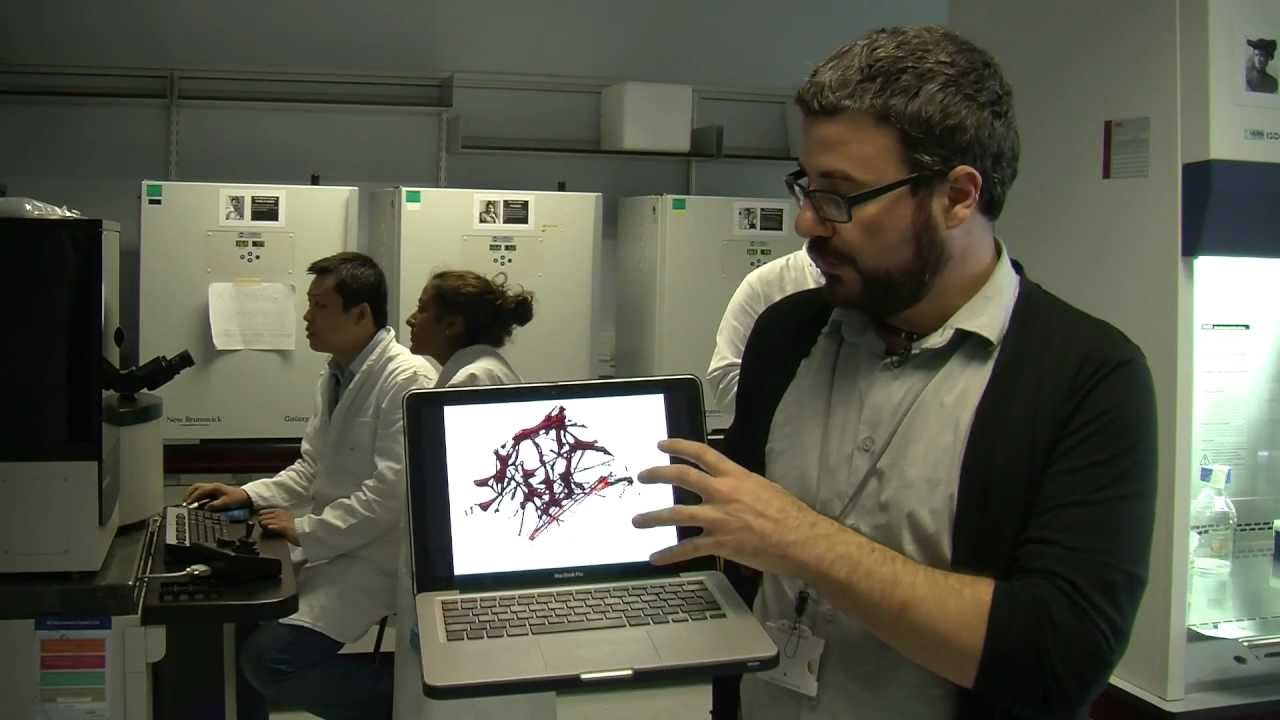 Synthetic biology -- technology and facilities