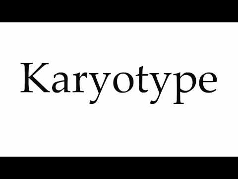 How to Pronounce Karyotype