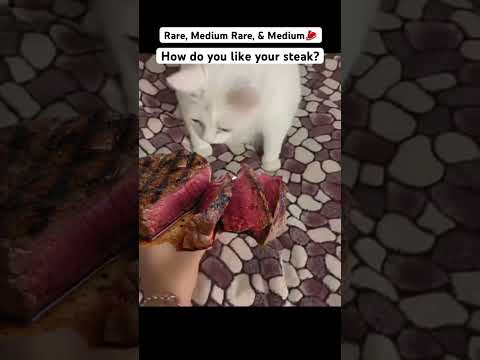 The worst Steak 🥩 #shorts #catmemes