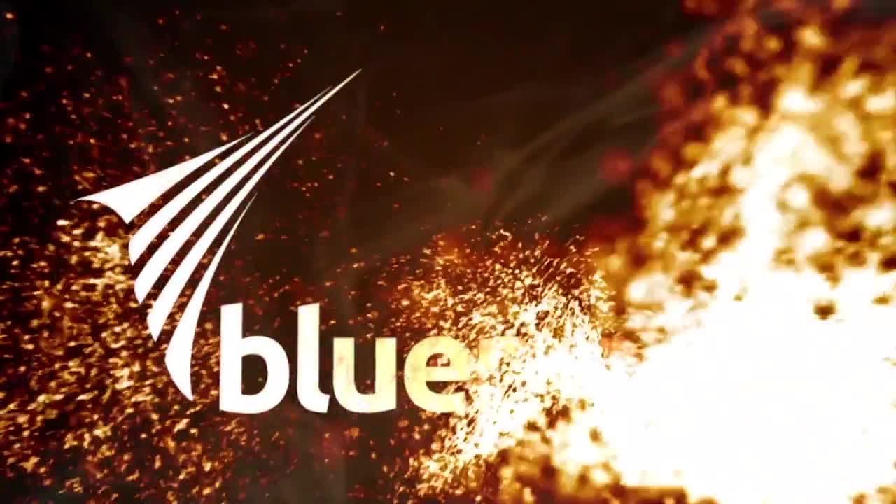 Bluemarlin logo (20??)