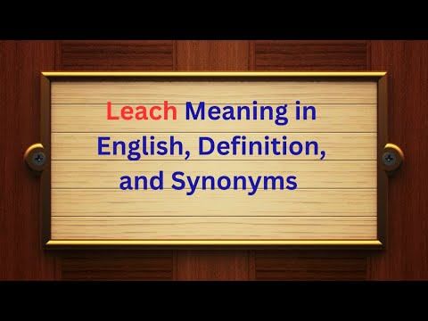 Leach Meaning in English, Definition, and Leach Synonyms | Thesaurus Thrive