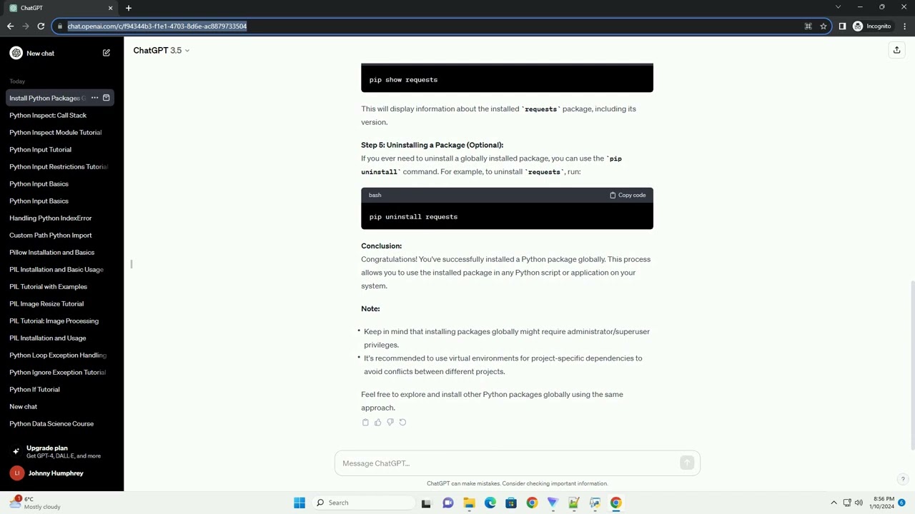 python install package globally