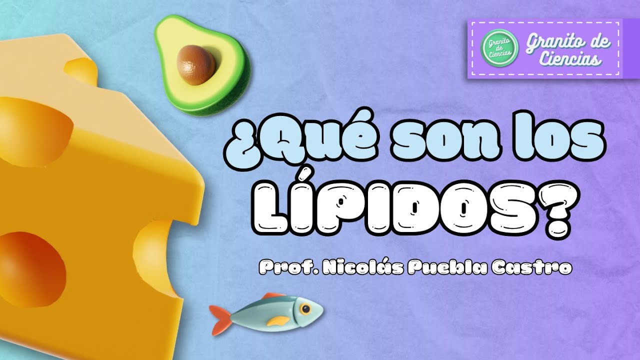 LÍPIDOS en 3 MINUTOS!!! (Fácil y Rápido)