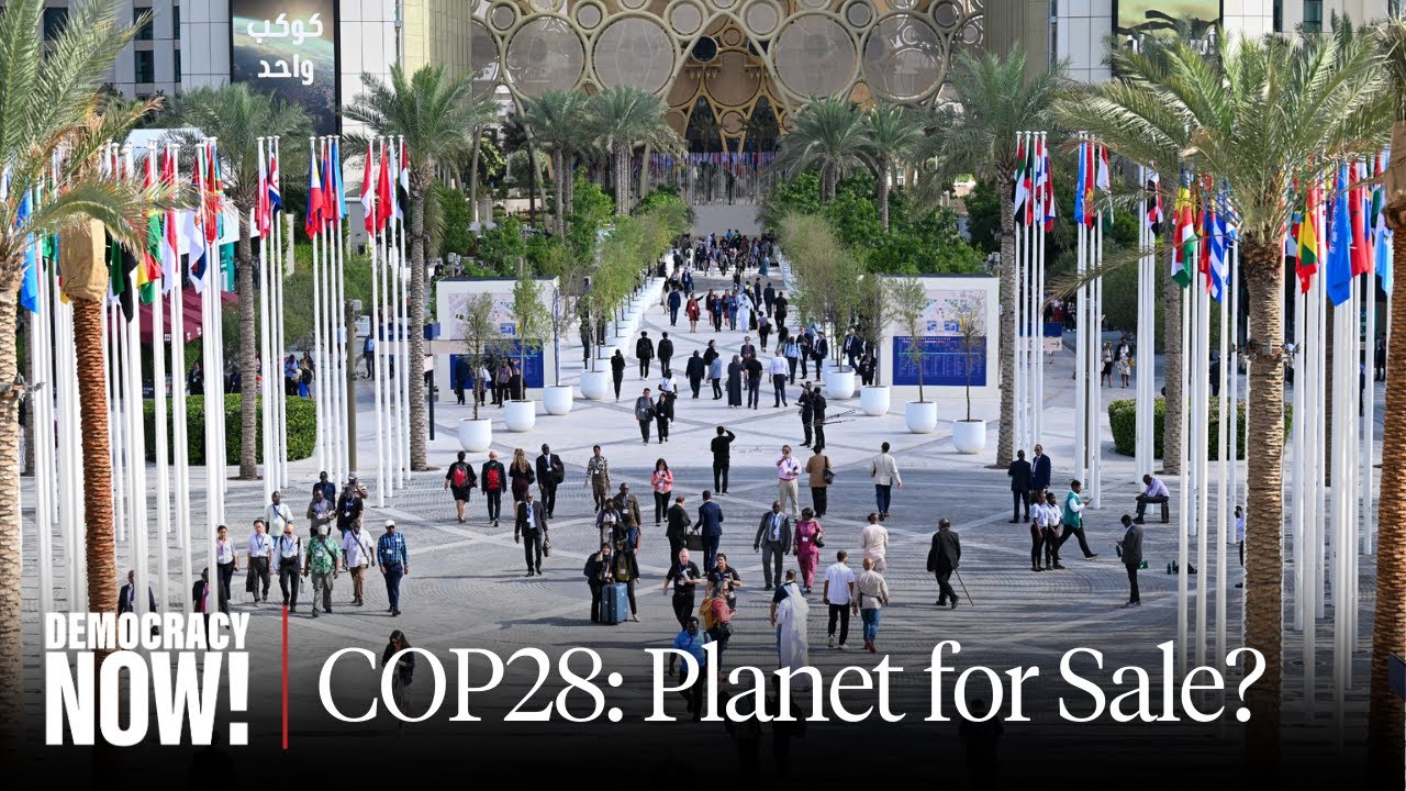 Record 2,500 Fossil Fuel Lobbyists Descend on COP28 U.N. Climate Summit in Dubai