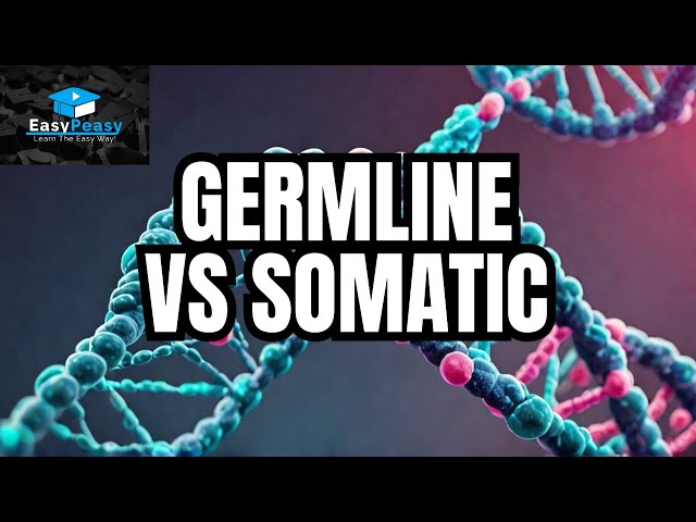 Understanding Germline Mutations vs Somatic Mutations | Galaxy.ai ...
