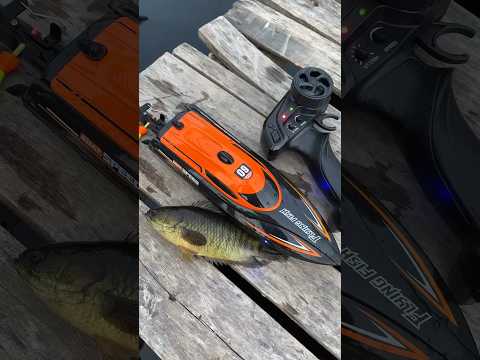 mancing pakai kapal RC #shorts