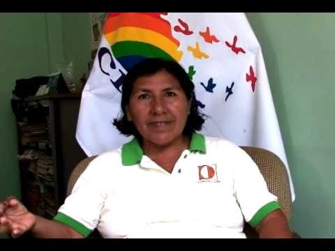 Especial: Pangoa, una cooperativa de vanguardia | El boletín del ...