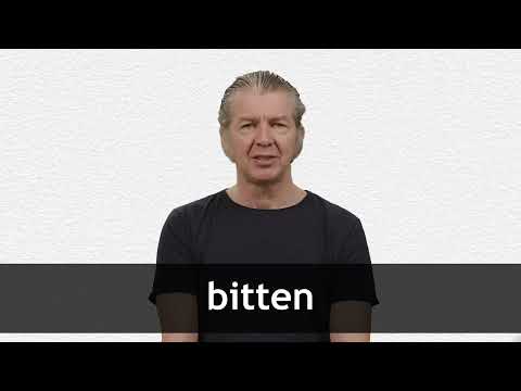 BITTEN definition in American English | Collins English Dictionary