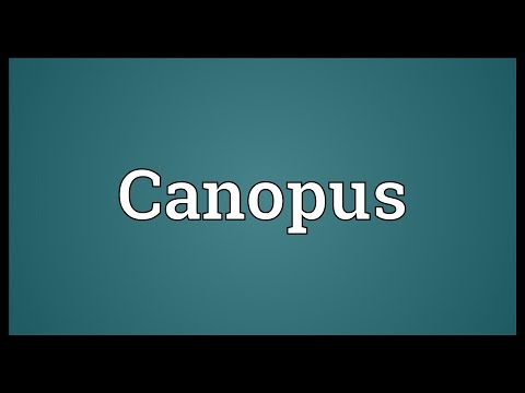 Canopus Meaning