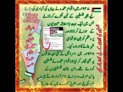 What was the UN 1947 Plan for Palestine? #urdu اقوام متحدہ کا ۱۹۴۷ کا فلسطین کے لیے پلان