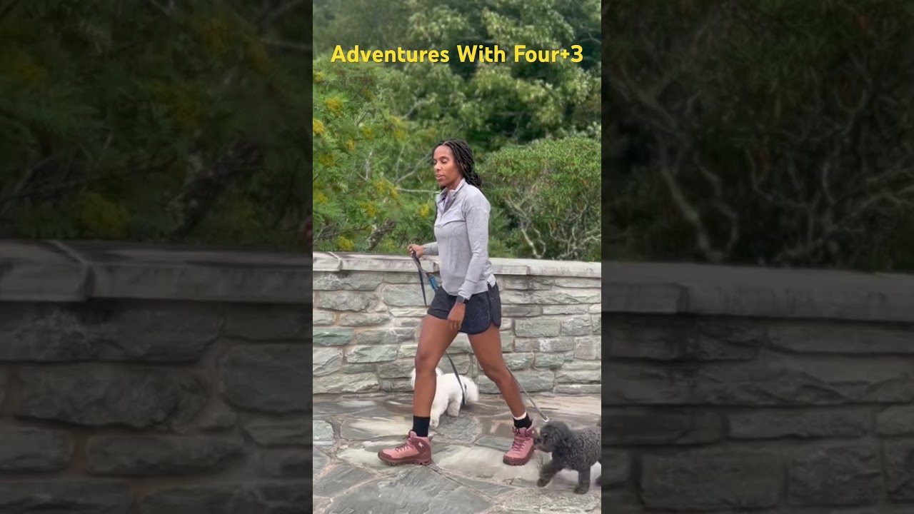 Adventures with Four+3 ( Follow us on our crazy journey) #nationalgeographic