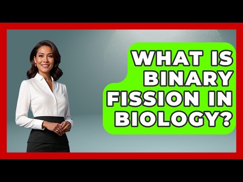 What Is Binary Fission In Biology? - Biology For Everyone