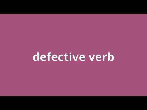 what is the meaning of defective verb