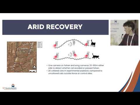 Ned Ryan Schofield | Evasive invasives? Temporary neophobia of feral cats
