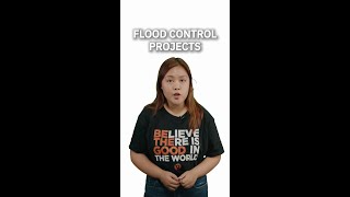 Flood control project? What's that?