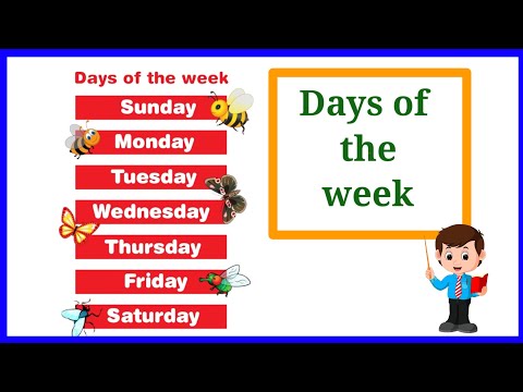Days of the Week|7 Days of the Week Song with Actions| Name of the week | days name|#sunday #monday