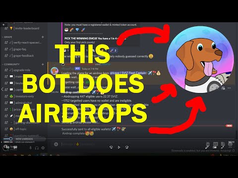 Airdropping Tokens LIVE IN DISCORD using our DISCORD BOT!