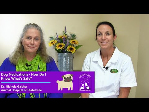 Dog Medications How Do I Know What's Safe