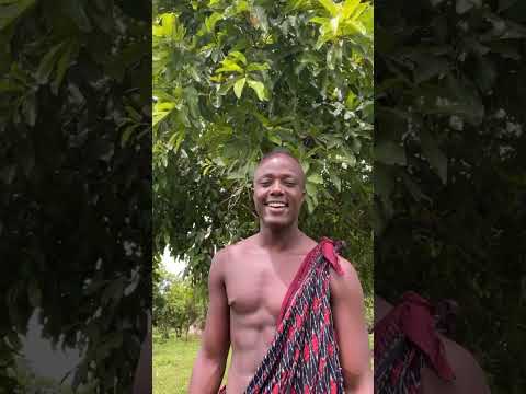 Manipuri Song Leileire❤️ #manipur #manipurnews #india #trending #kilipaul #shorts #music #instagram