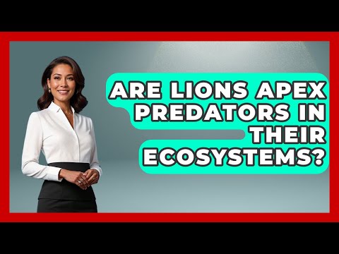 Are Lions Apex Predators In Their Ecosystems? - The Wild Life Explorer