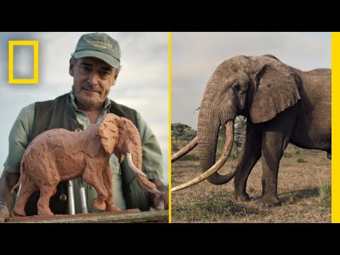 Join This Man on a Safari to Sculpt Animals in the Wild | Short Film Showcase